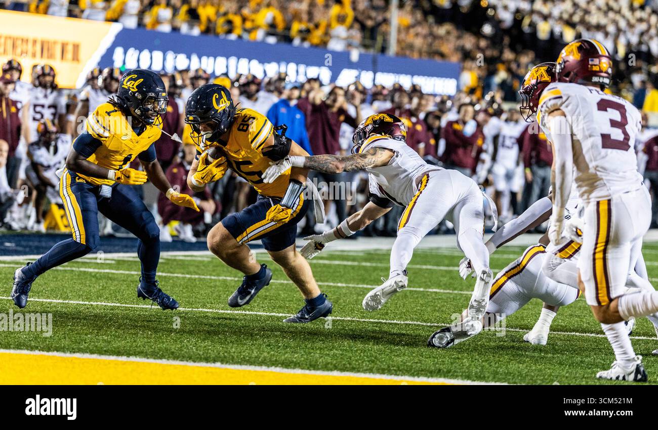 September 13 2025 Berkeley CA, U.S.A. California Golden Bears tight end ...