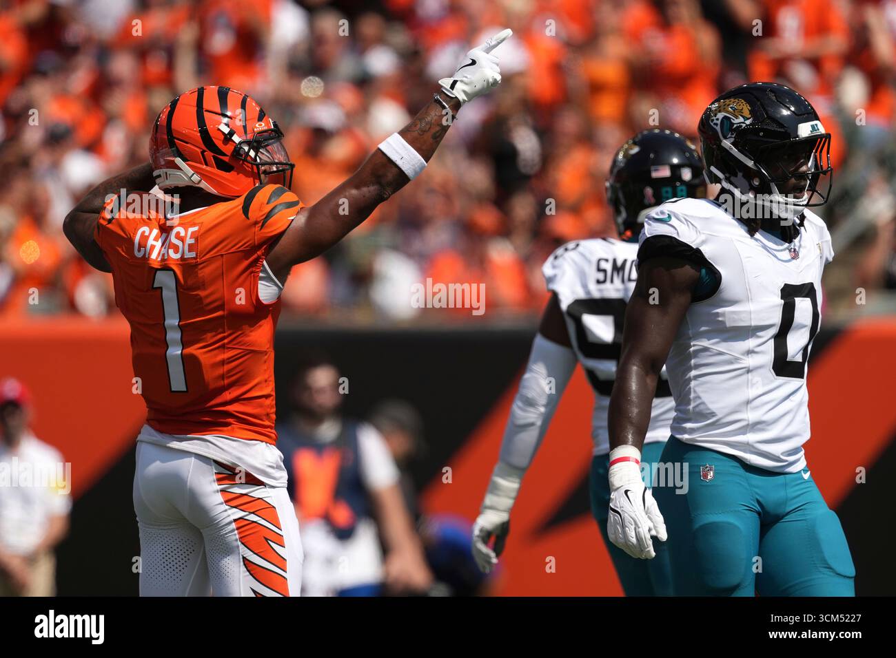 Cincinnati Bengals wide receiver Ja'Marr Chase celebrates a first-down ...