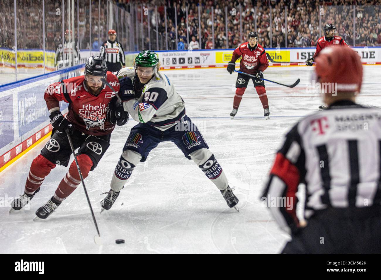 Ryan MacInnis (Koelner Haie, #77) vs Korbinian Geibel (Eisbaeren Berlin ...