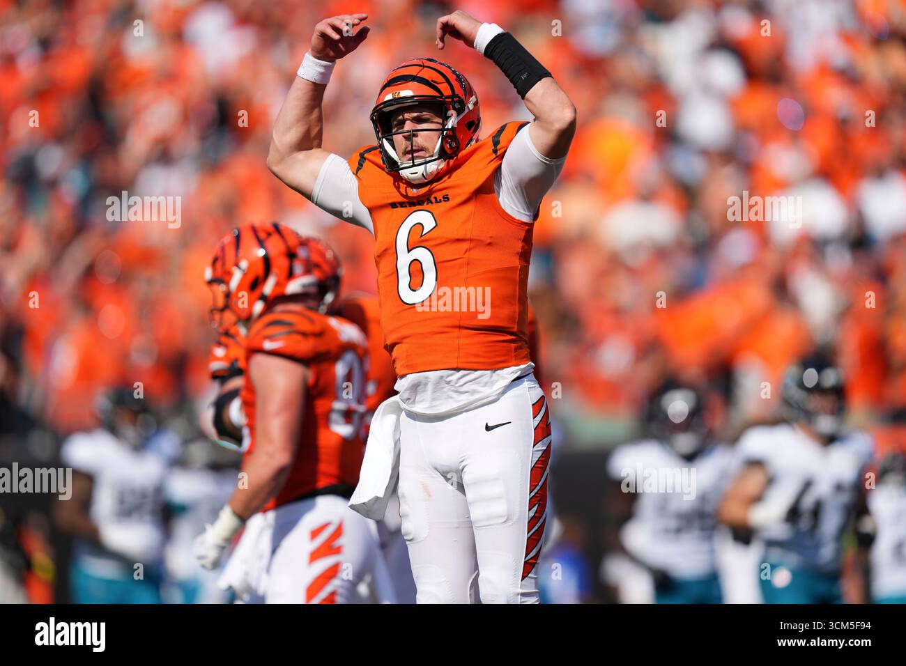 Cincinnati Bengals quarterback Jake Browning (6) celebrates his rushing ...