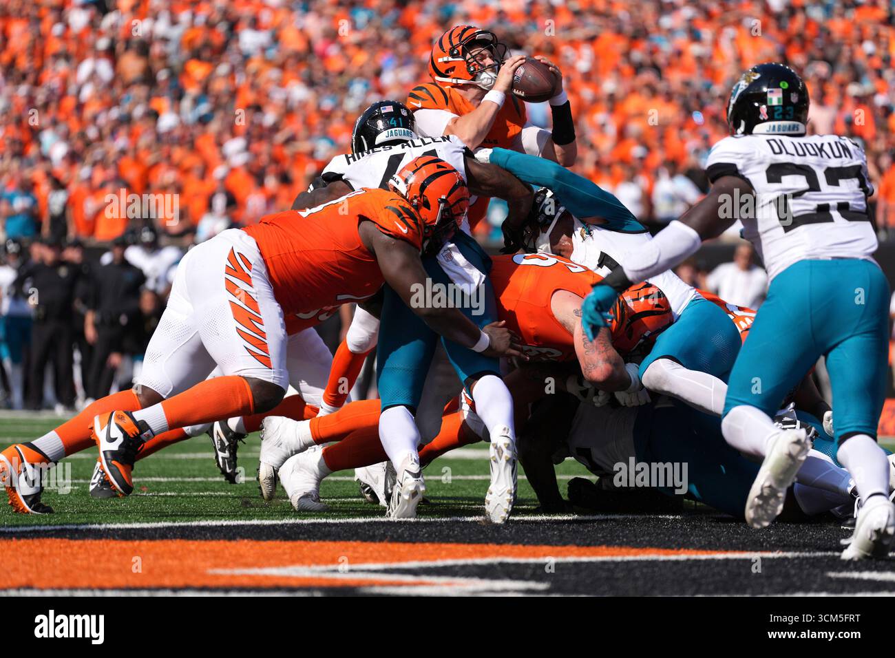 Cincinnati Bengals quarterback Jake Browning leaps into the end zone ...