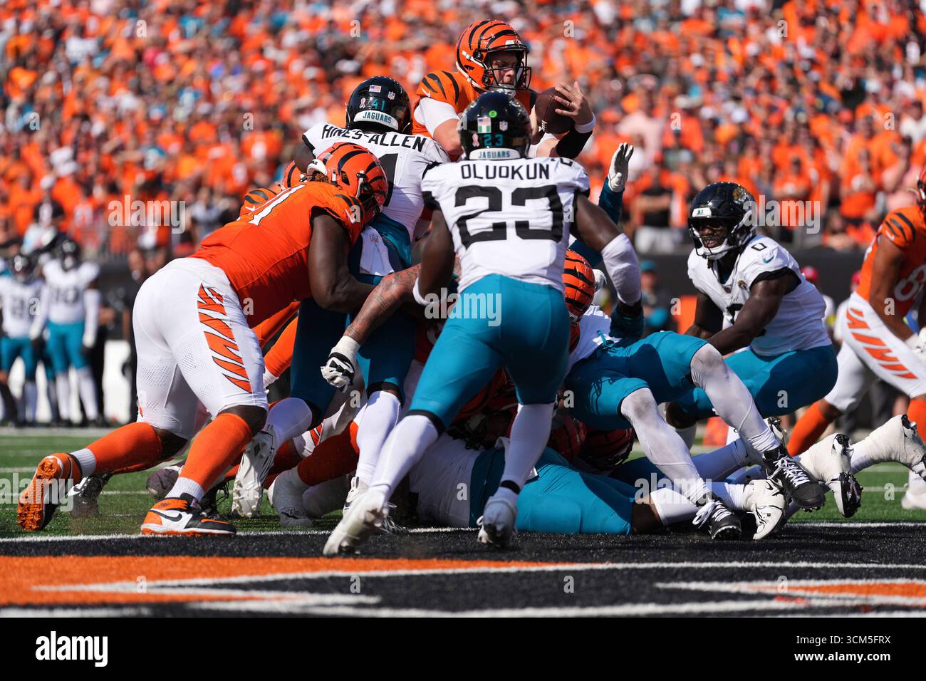 Cincinnati Bengals quarterback Jake Browning leaps into the end zone ...