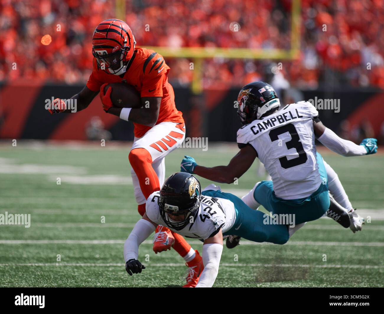 September 14, 2025: Cincinnati Bengals WR Tee Higgins catches a ...