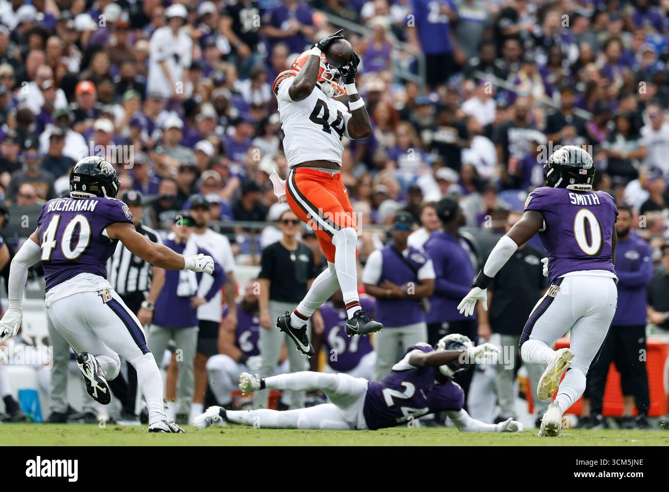 DUPLICATE***Cleveland Browns tight end Harold Fannin Jr. catches the ...
