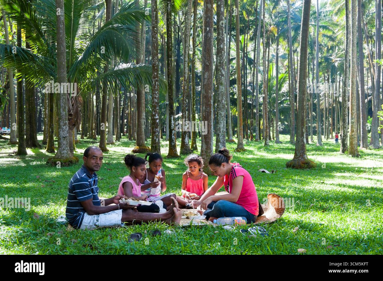 Pic nic under palm trees in Anse des Cascades, Sainte-Rose. Reunion ...