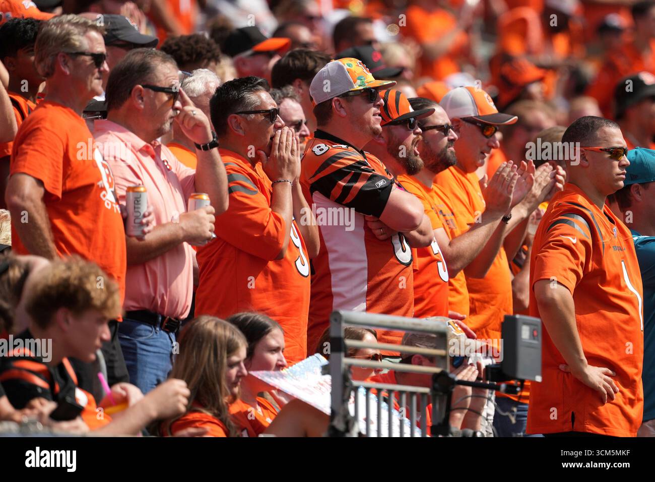 Cincinnati Bengals fans cheer on the team during an NFL football game ...