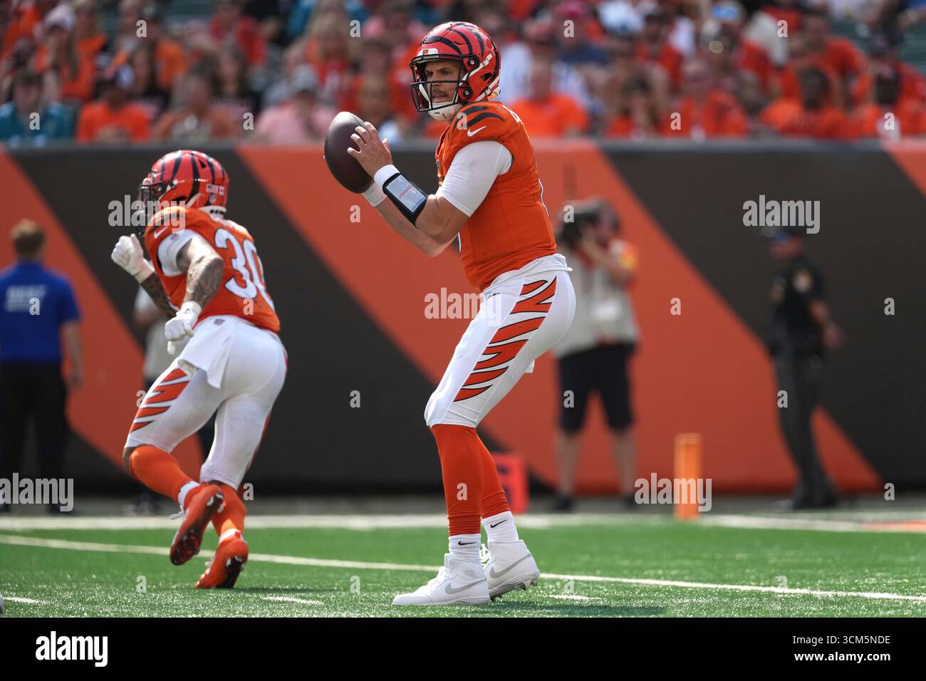 Cincinnati Bengals quarterback Jake Browning looks to throw after ...