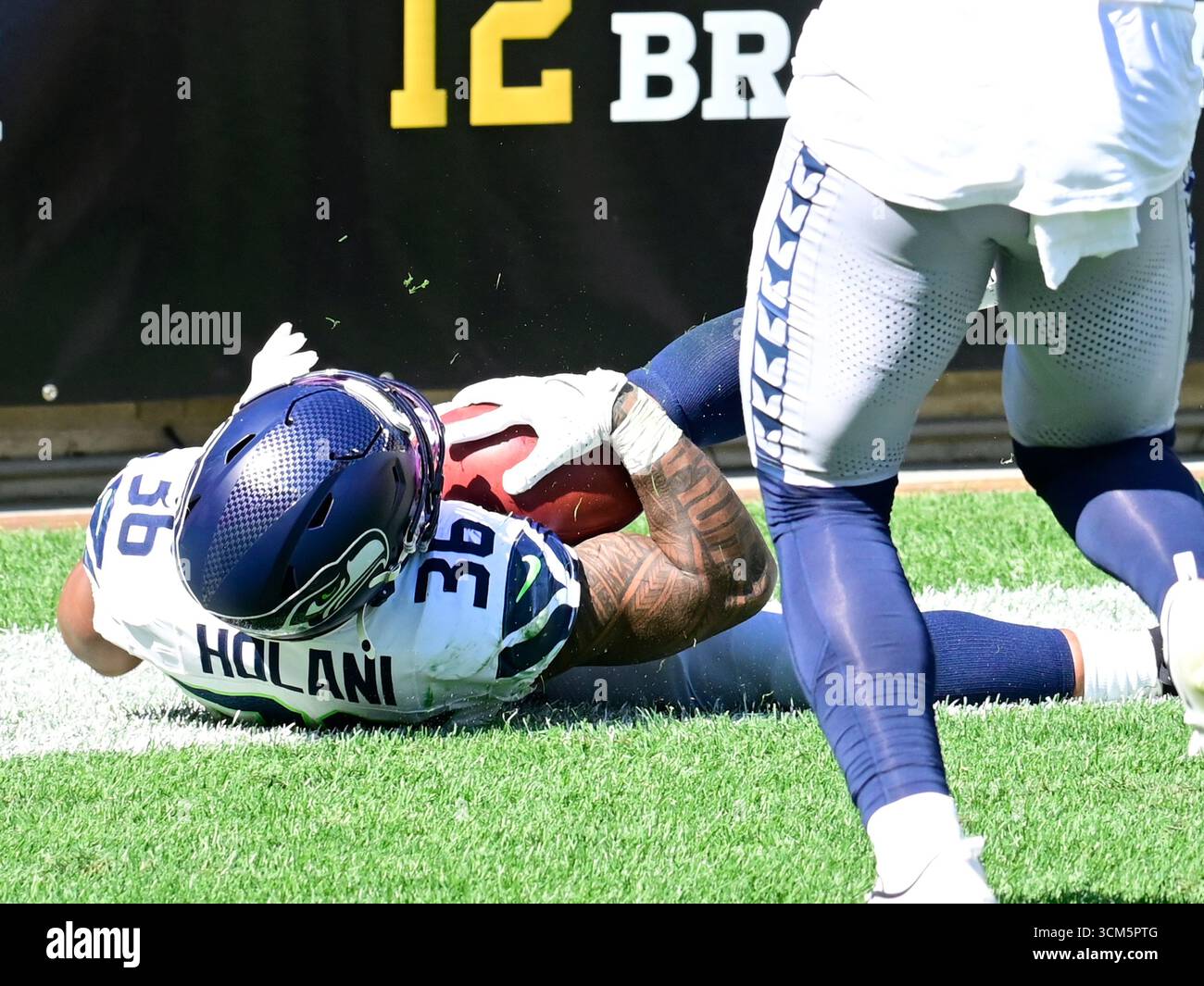 Seattle Seahawks running back George Holani (36) falls on the football ...