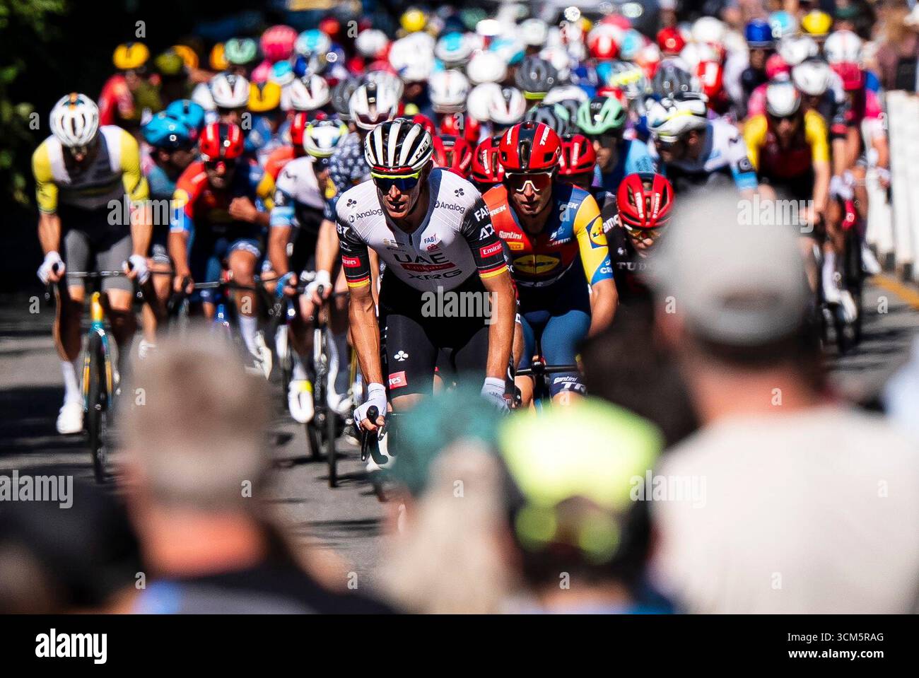 Nils Politt, of Germany, riding for the UAE Emirates, leads the pack ...