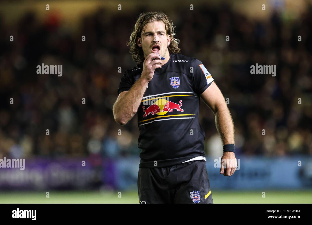 Newcastle red bulls vs harlequins hi-res stock photography and images ...