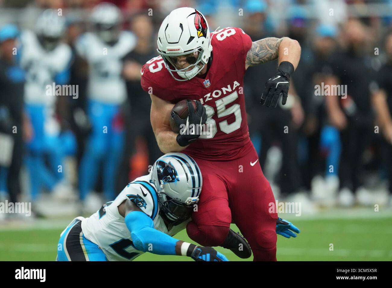 Arizona Cardinals tight end Trey McBride (85) is hit by Carolina ...