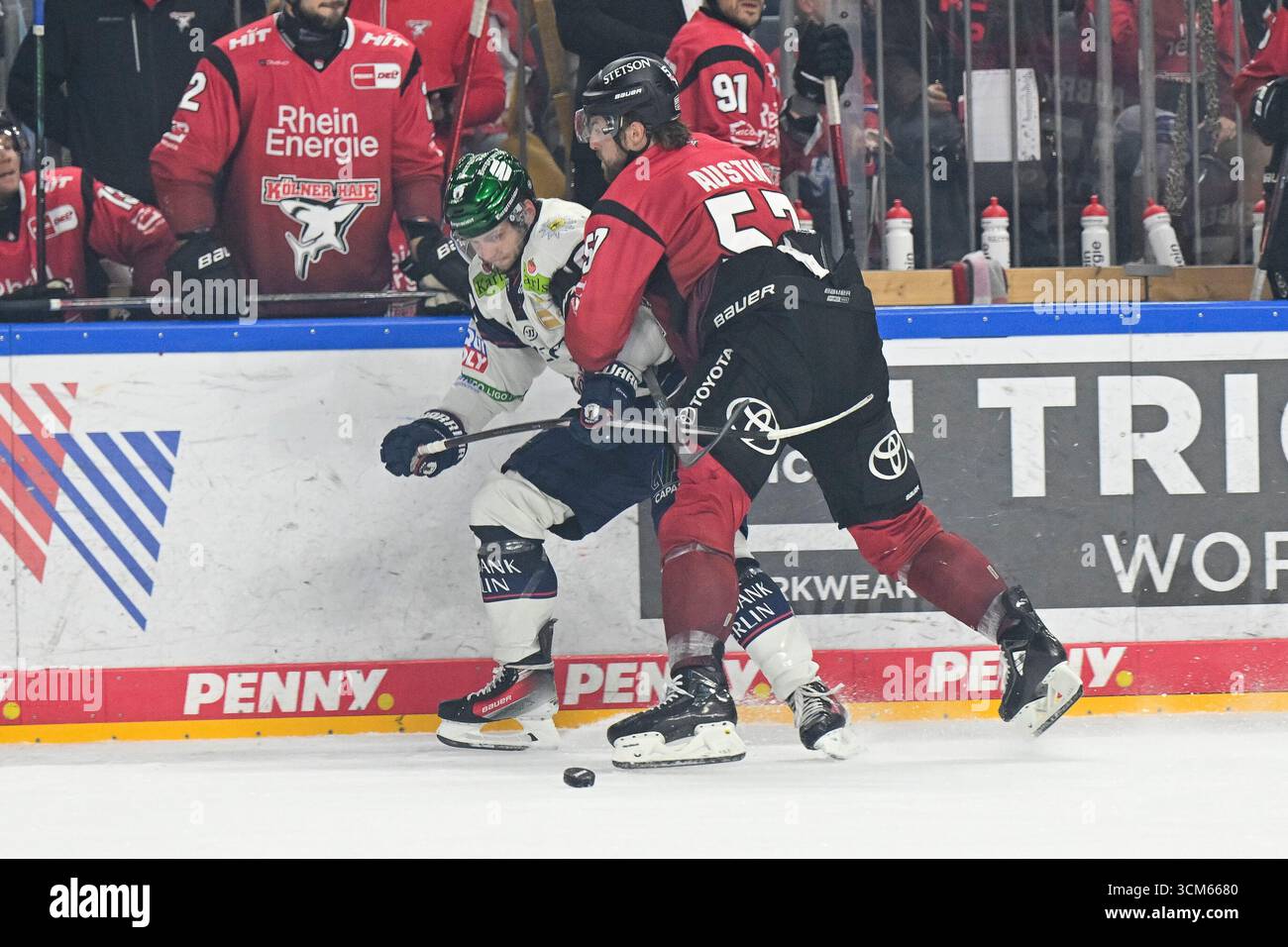 Eishockey DEL - 25/26 - 2. Spieltag: Kölner Haie vs Eisbären Berlin am ...