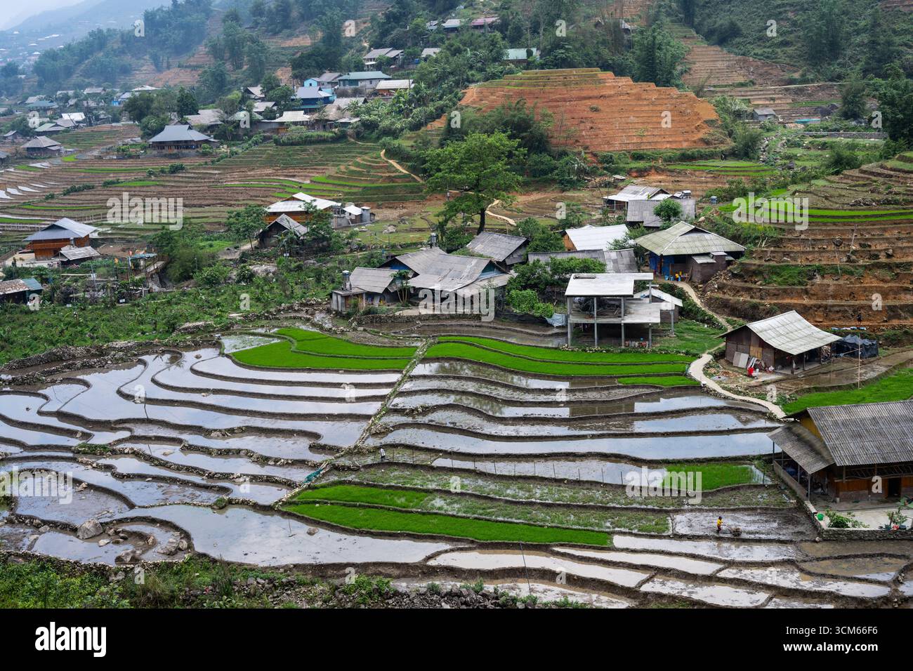 Terraced rice paddies filled hi-res stock photography and images - Alamy