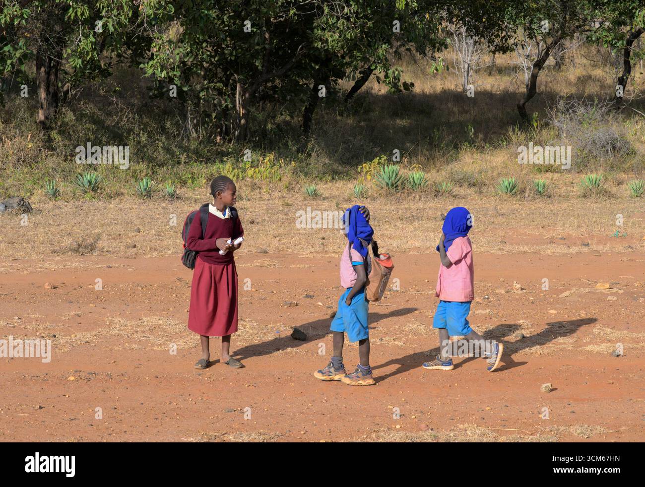 Taveta road hi-res stock photography and images - Alamy