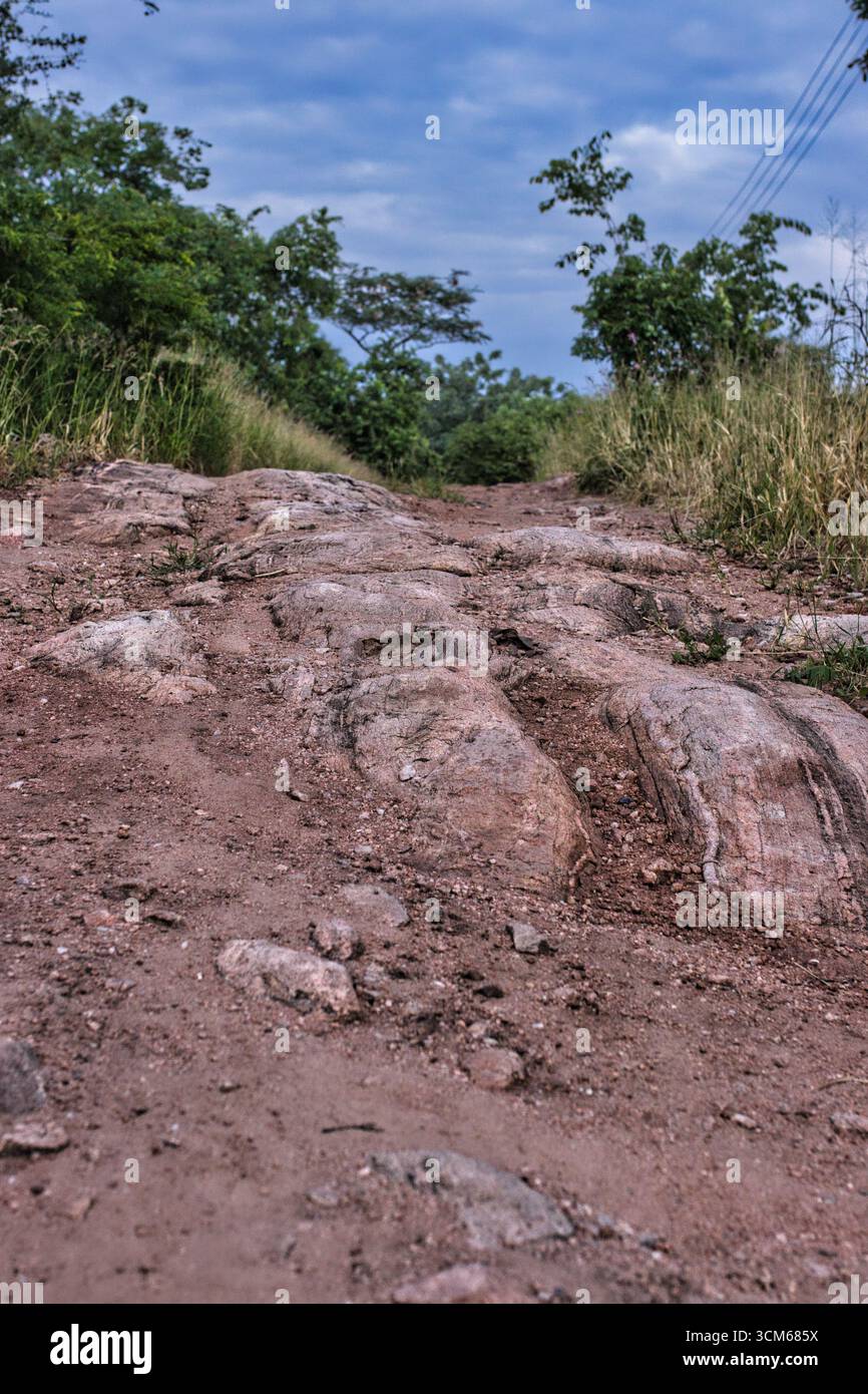 Countryside zambia hi-res stock photography and images - Alamy