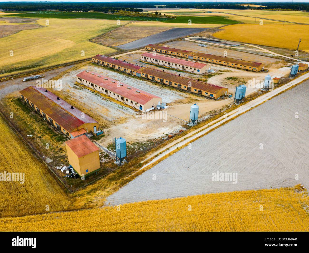 Aerial view of modern pig farm Stock Photo - Alamy