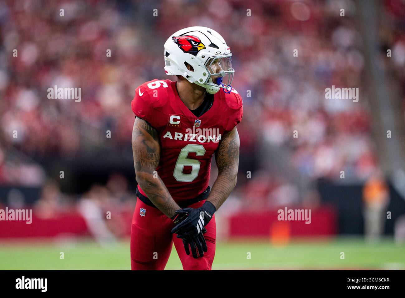 Arizona Cardinals running back James Conner (6) gets ready for a play ...