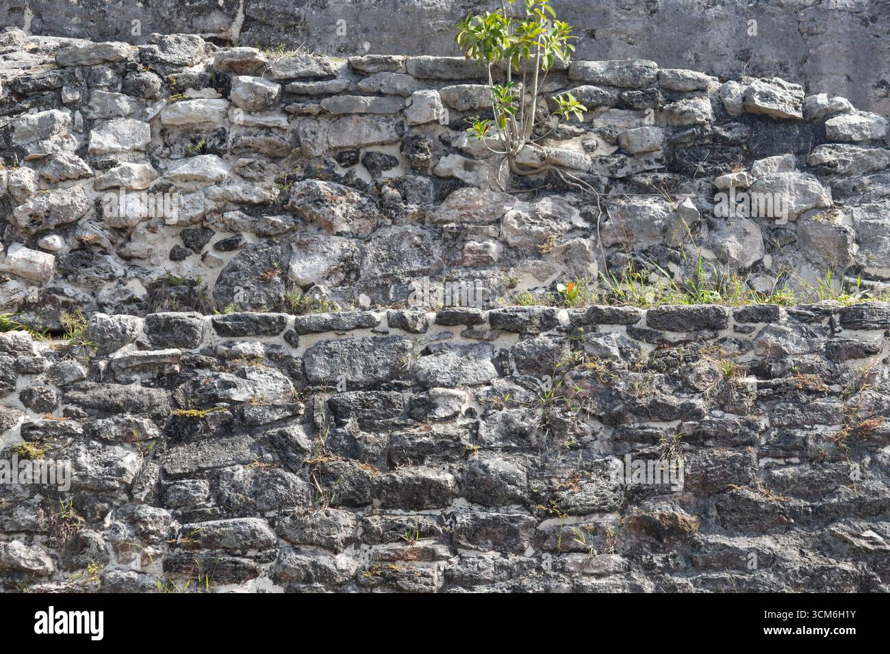 The texture stone of three leves of an ancient mayan temple into el rey ...