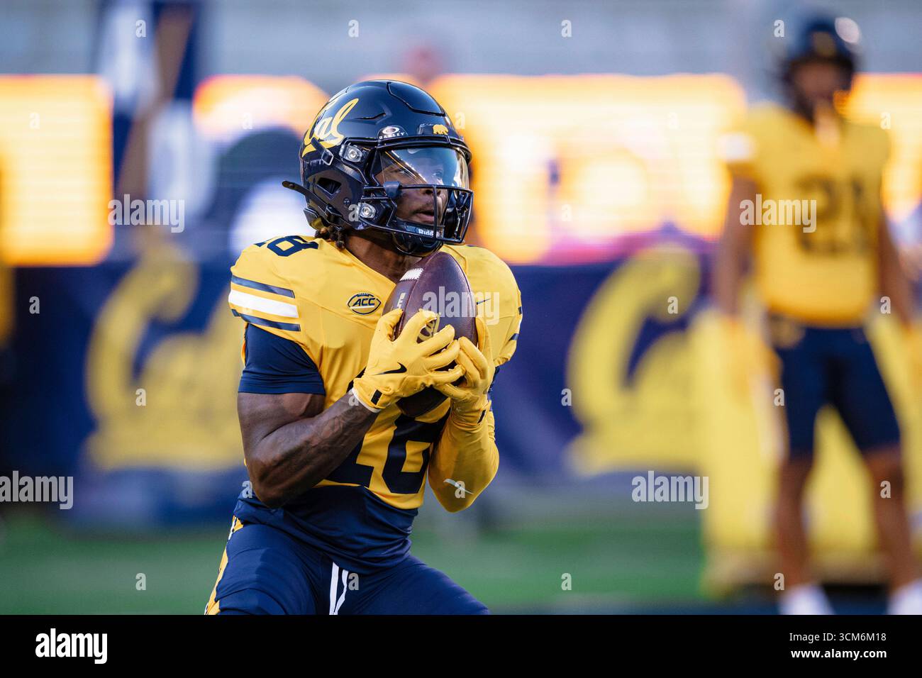 BERKELEY, CA - SEPTEMBER 13: California Golden Bears wide receiver ...