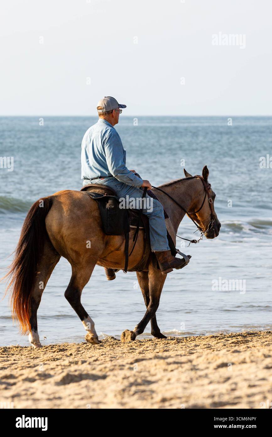 A man rides his horse along the Atlantic Ocean on the beach at ...