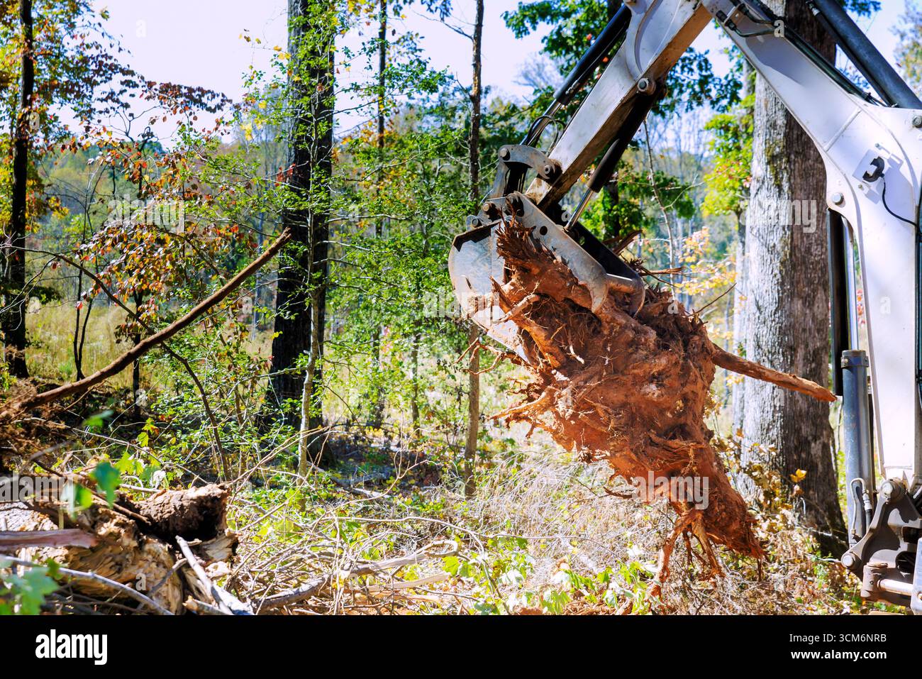 Excavator skillfully extracts tree roots from ground in forested area ...