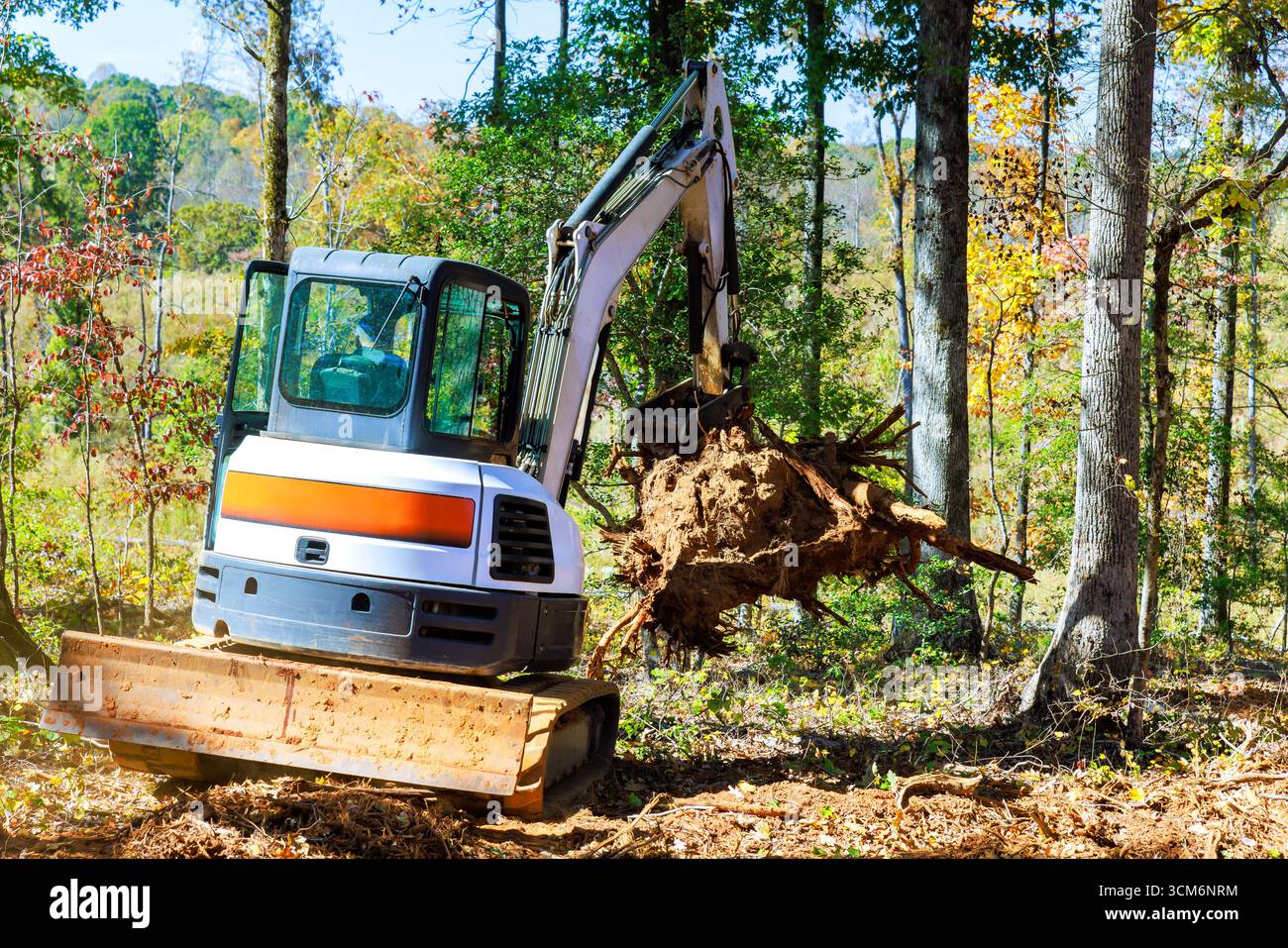 Excavator works on clearing tree roots debris in forest during works ...