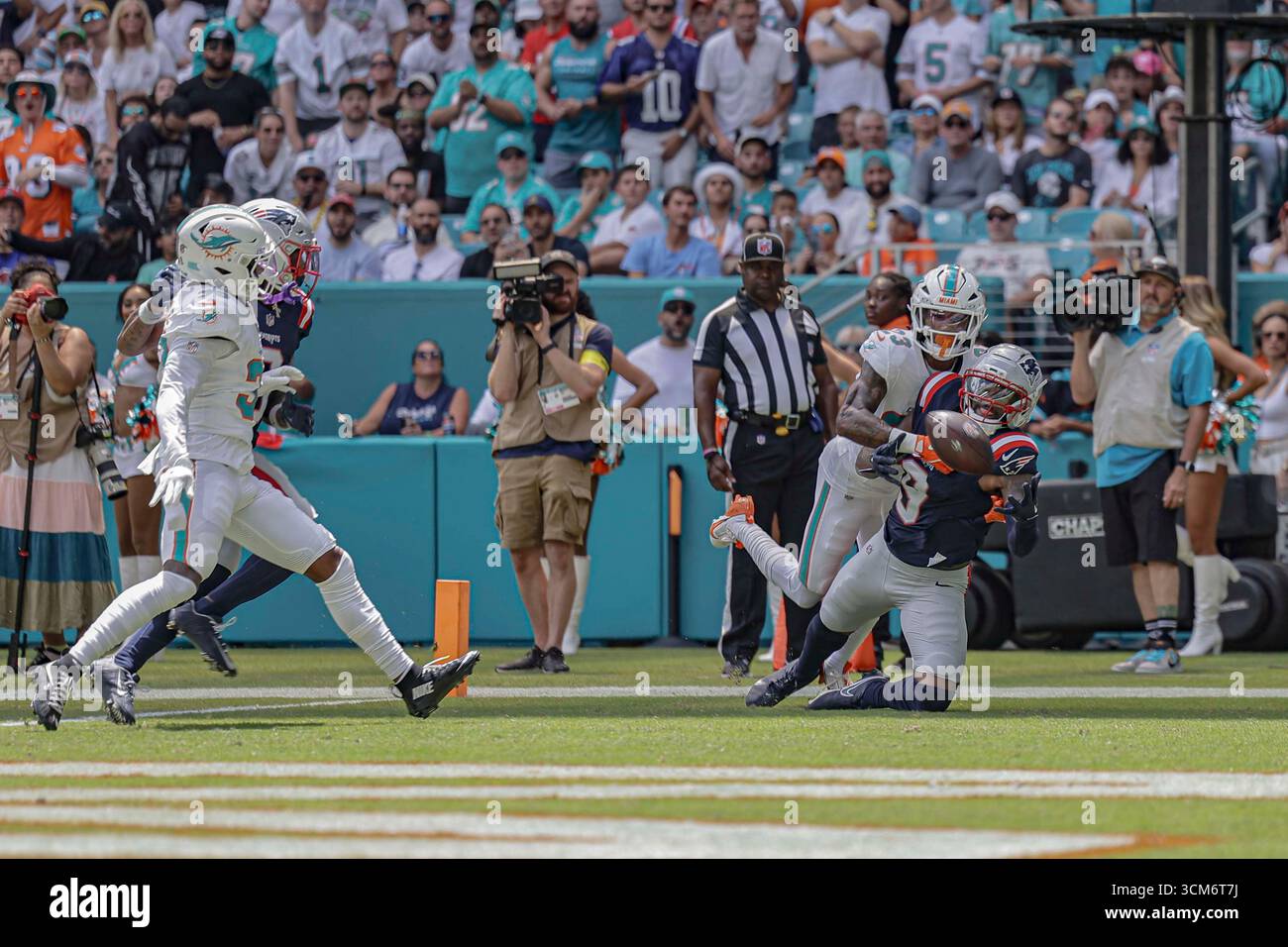 Jack jones dolphins 2025 hi-res stock photography and images - Alamy