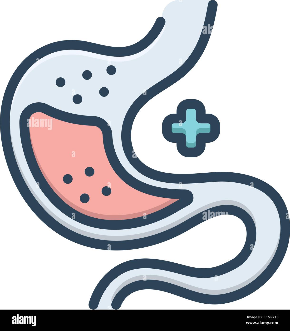 Gastroenterology Cut Out Stock Images & Pictures - Alamy