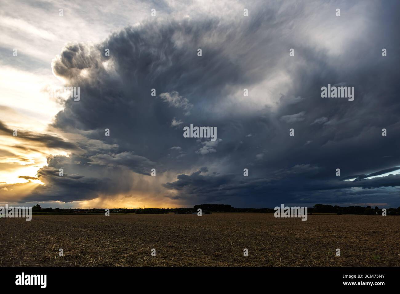 Superzellenstruktur hi-res stock photography and images - Alamy