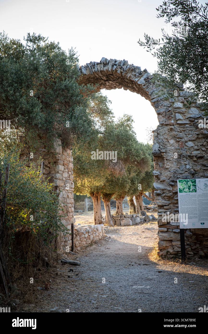 View of the ruins of Iasos Ancient City in the morning sun ...