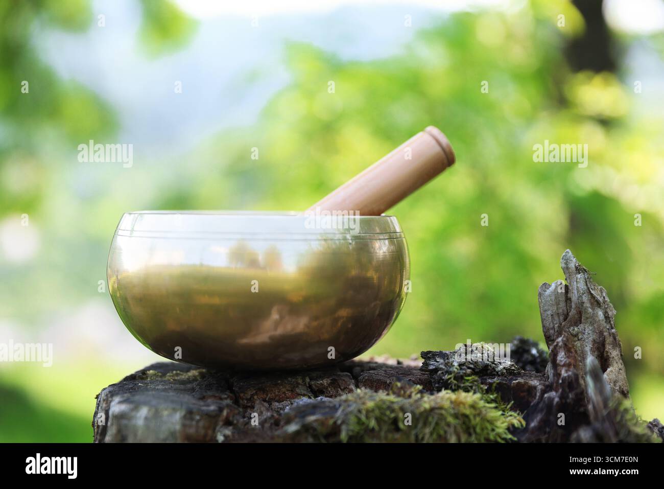 Tibetan singing bowl with mallet on tree stump outdoors, closeup Stock ...