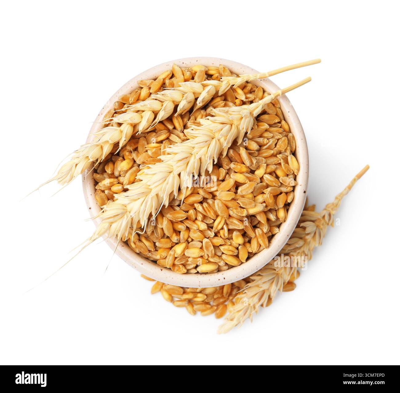 Wheat grains in bowl and dry spikes isolated on white, top view Stock ...