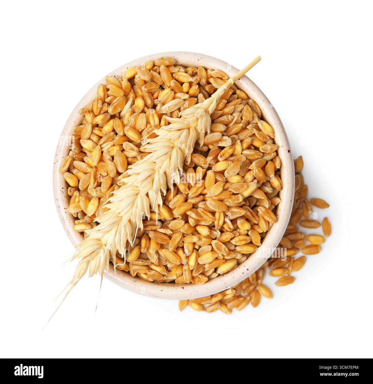 Wheat grains in bowl and dry spike isolated on white, top view Stock ...