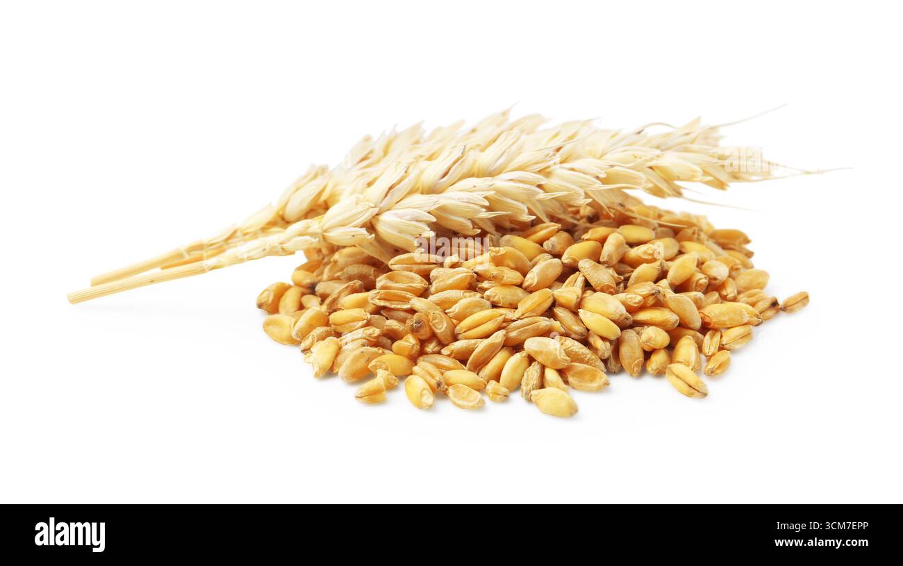 Wheat grains and dry spikes isolated on white Stock Photo - Alamy