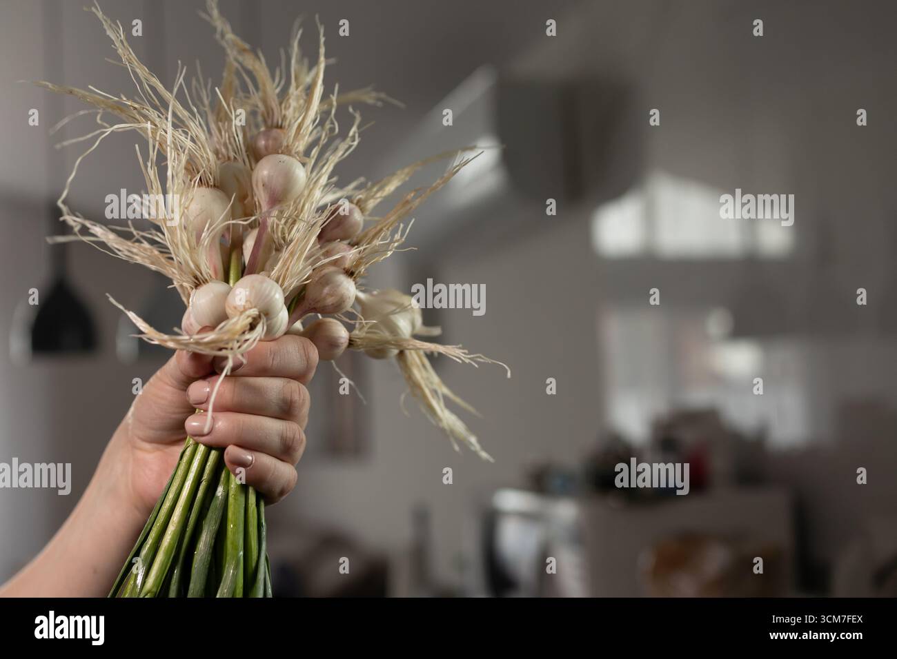 Featured bulbs hi-res stock photography and images - Alamy