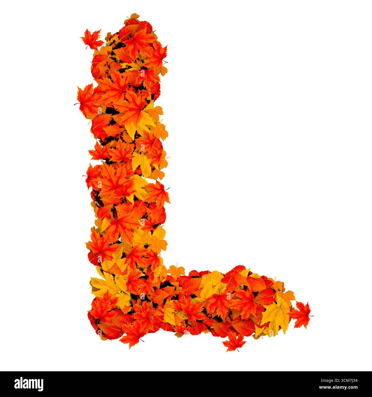 Letter L formed by autumn leaves Stock Photo - Alamy