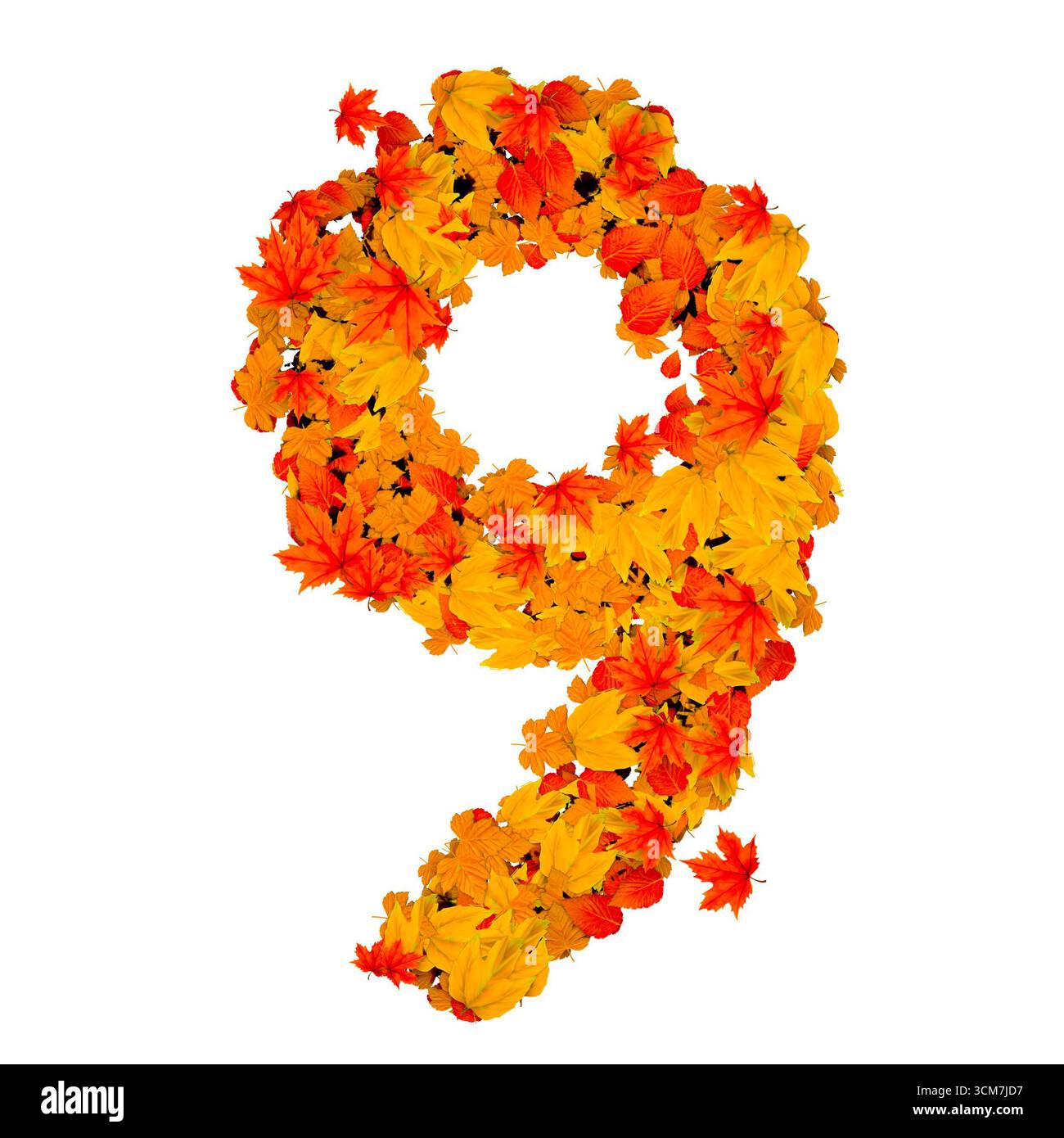 Outing number Cut Out Stock Images & Pictures - Alamy