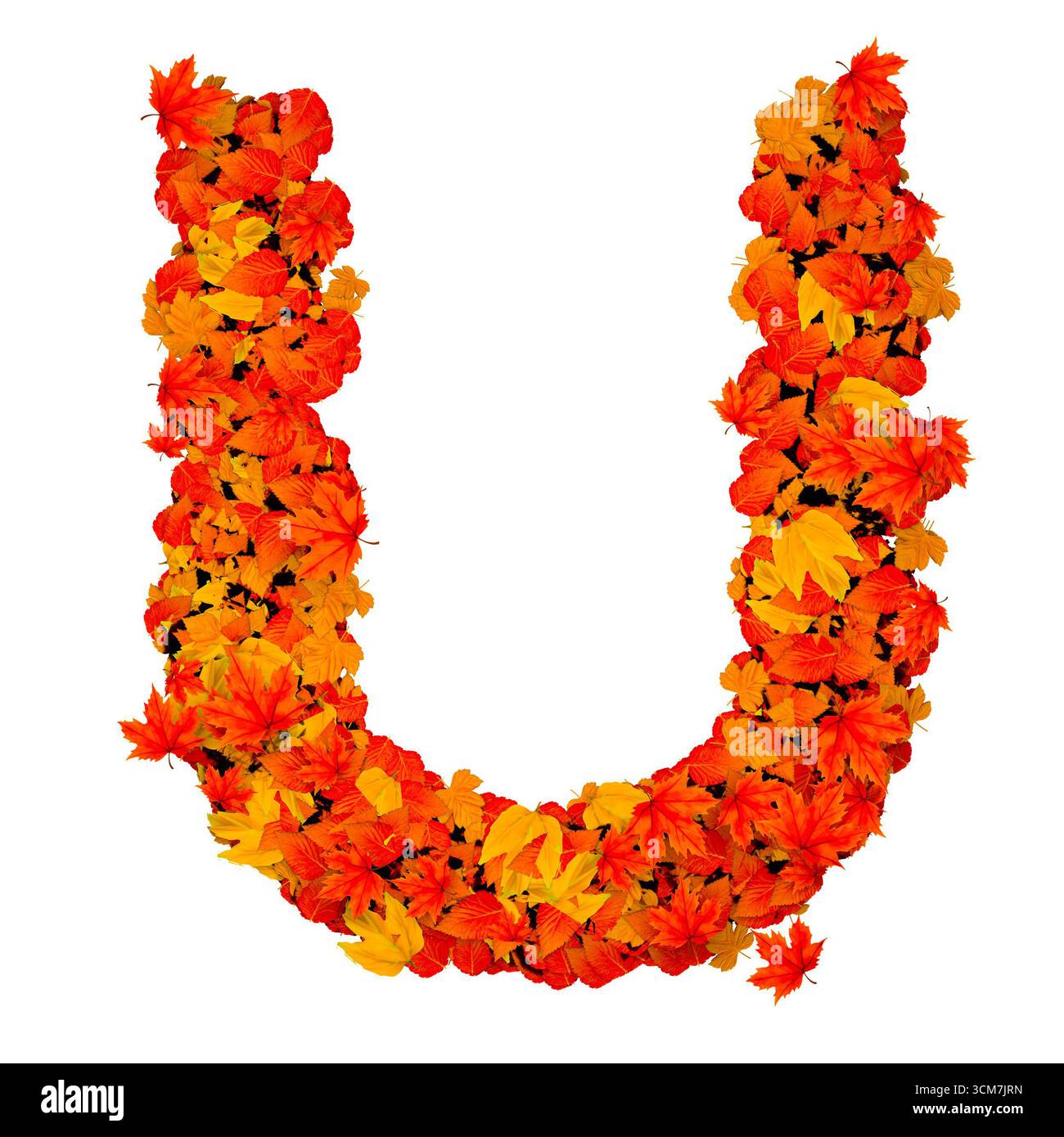 Letter U made of autumn leaves Stock Photo - Alamy
