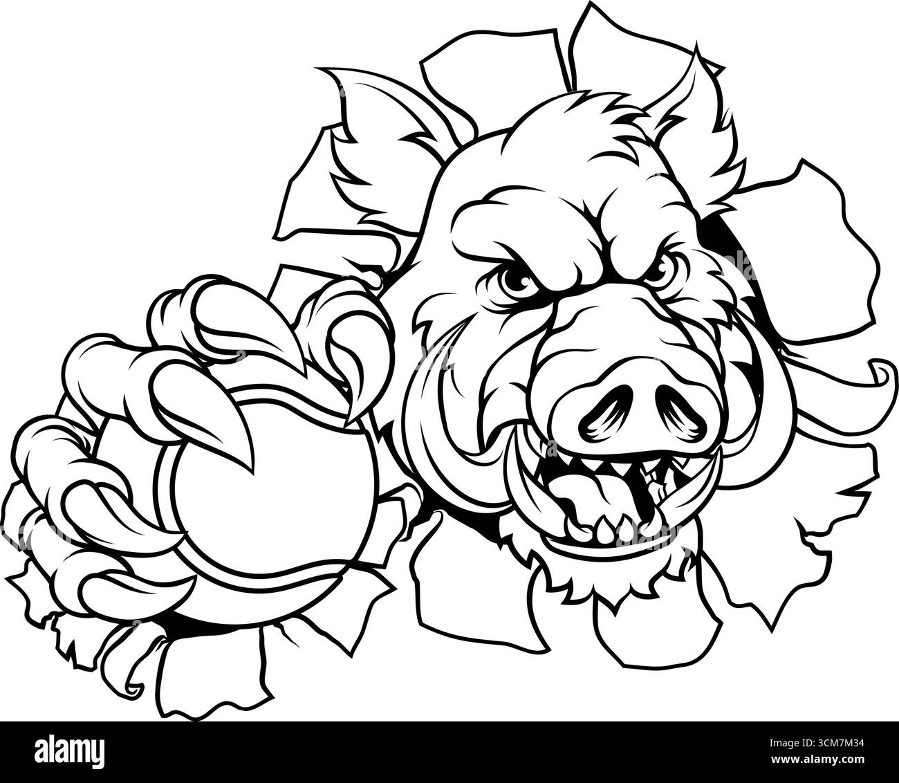 Wild hogs Black and White Stock Photos & Images - Alamy