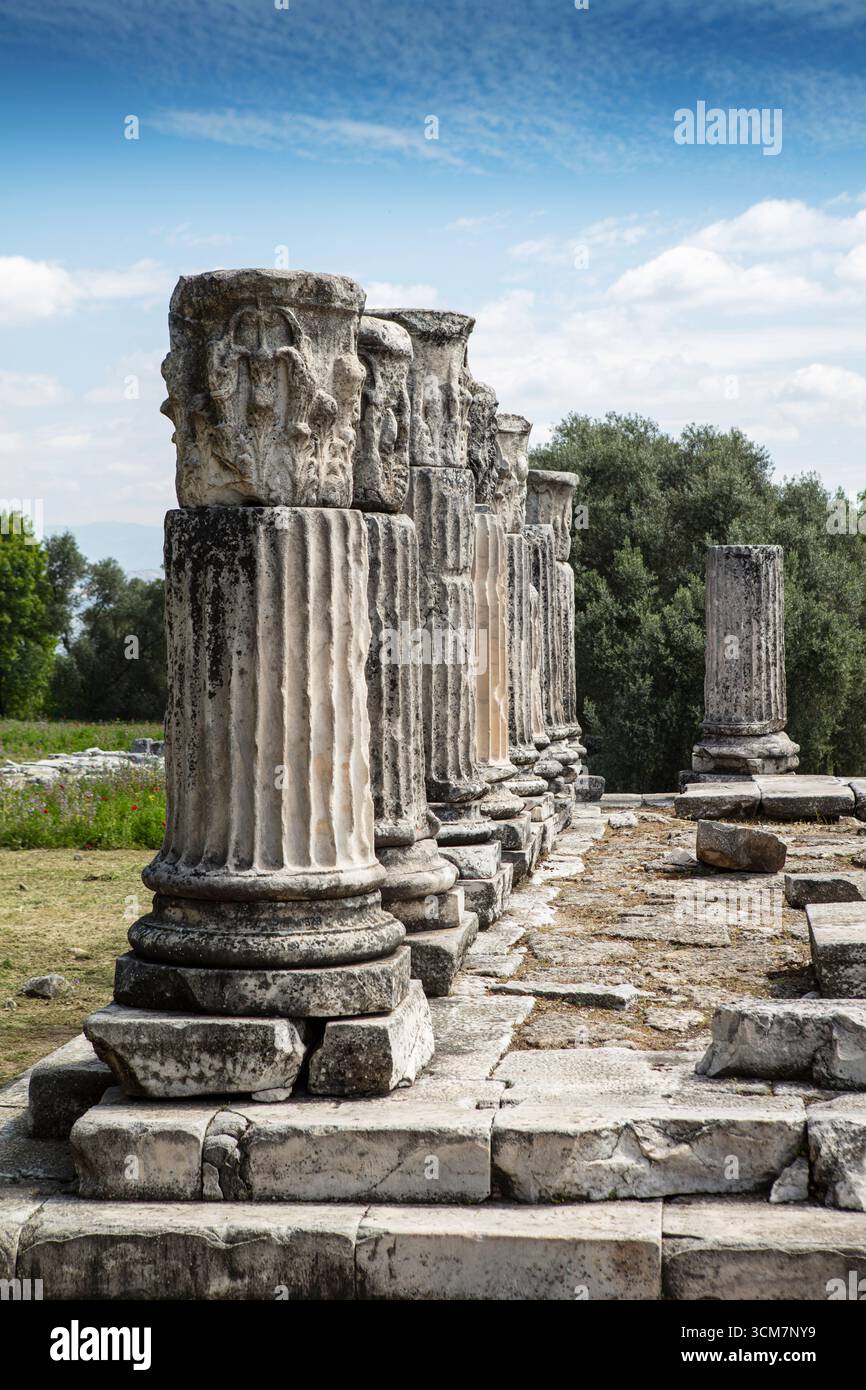 Ruins of the ancient sanctuary Lagina, Turkey Stock Photo - Alamy