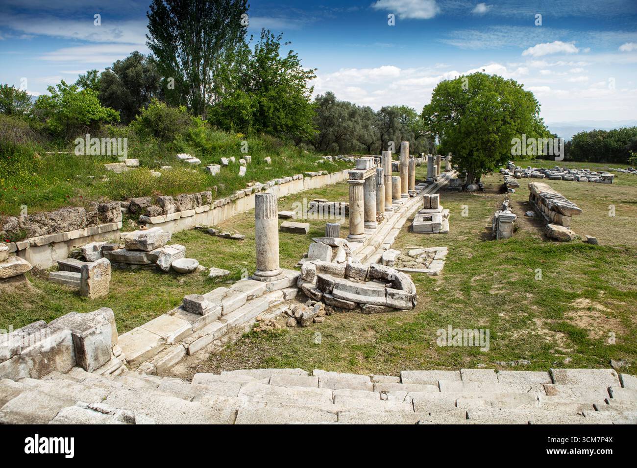 Ruins of the ancient sanctuary Lagina, Turkey Stock Photo - Alamy