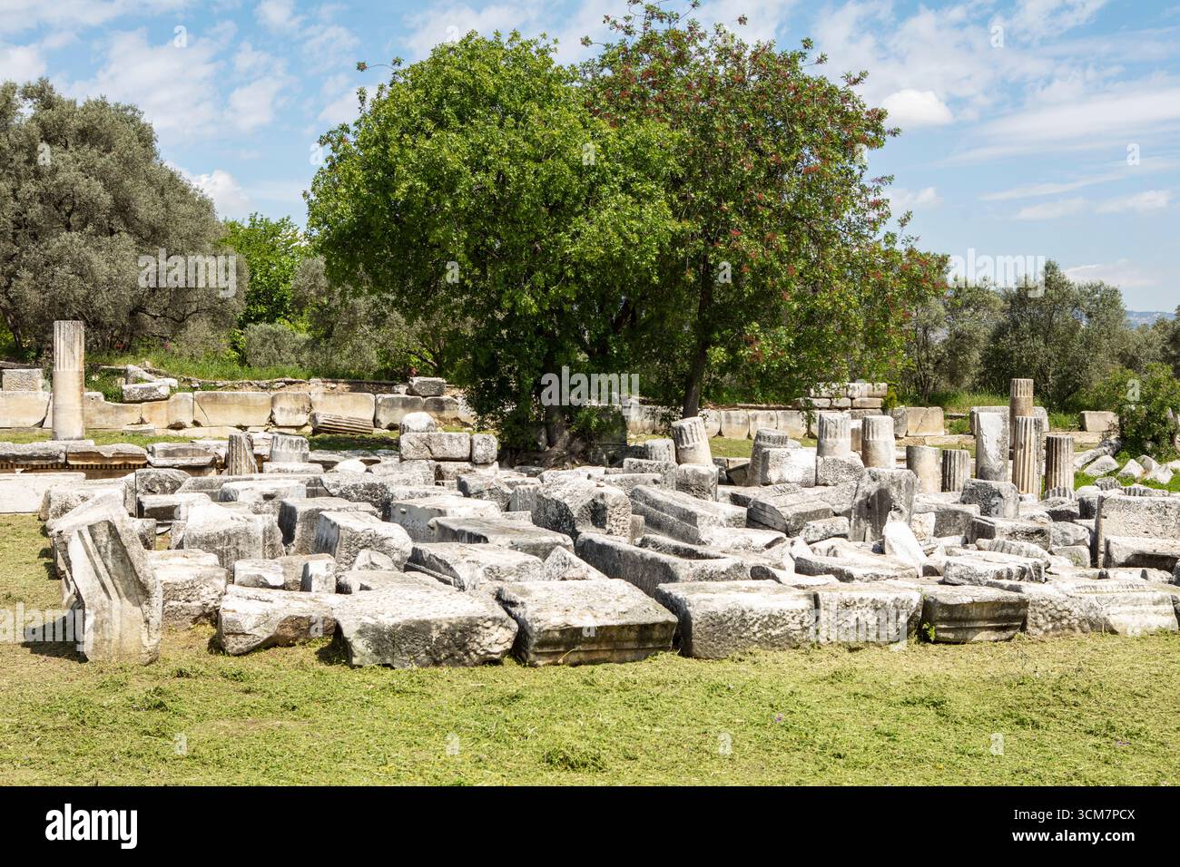 Ruins of the ancient sanctuary Lagina, Turkey Stock Photo - Alamy