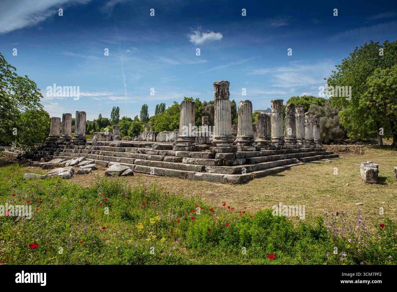 Ruins of the ancient sanctuary Lagina, Turkey Stock Photo - Alamy
