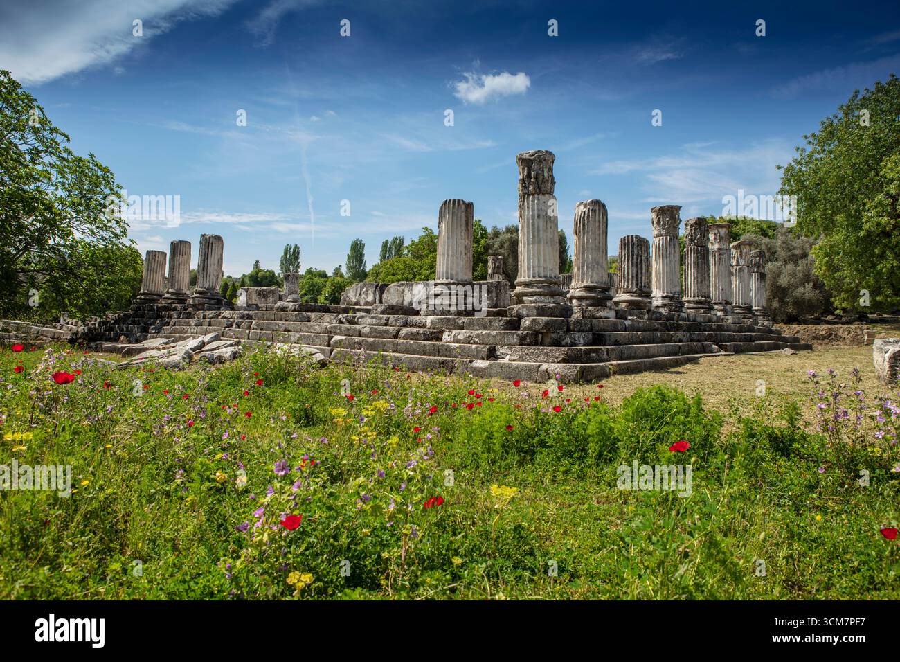 Ruins of the ancient sanctuary Lagina, Turkey Stock Photo - Alamy