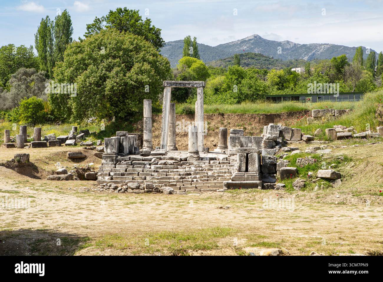Ruins of the ancient sanctuary Lagina, Turkey Stock Photo - Alamy