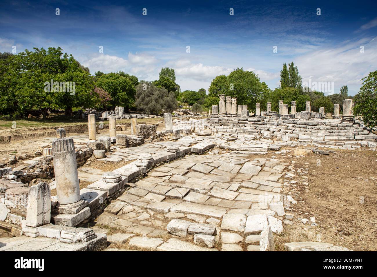 Ruins of the ancient sanctuary Lagina, Turkey Stock Photo - Alamy