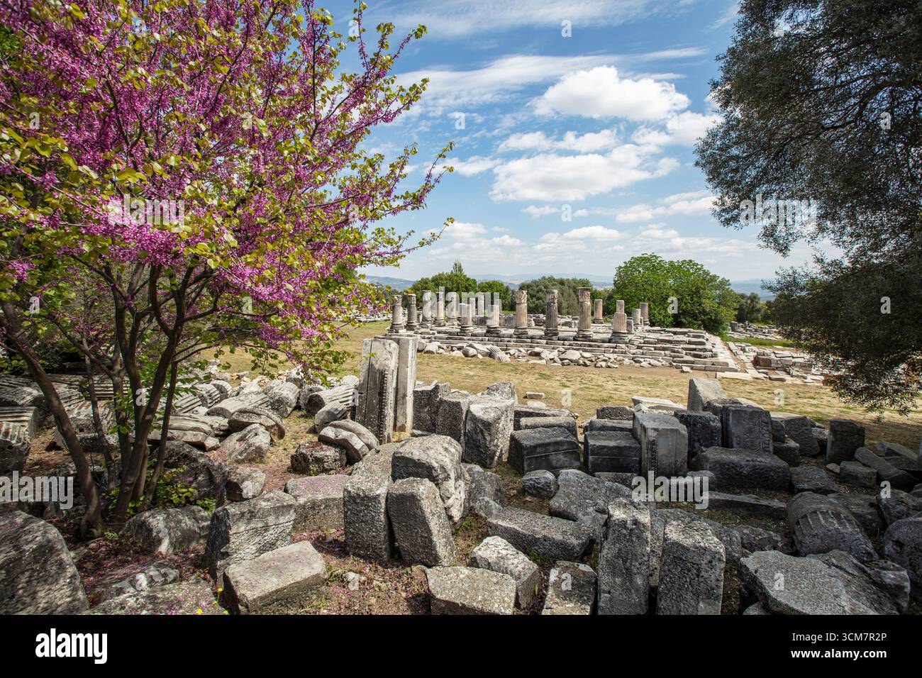 Ruins of the ancient sanctuary Lagina, Turkey Stock Photo - Alamy