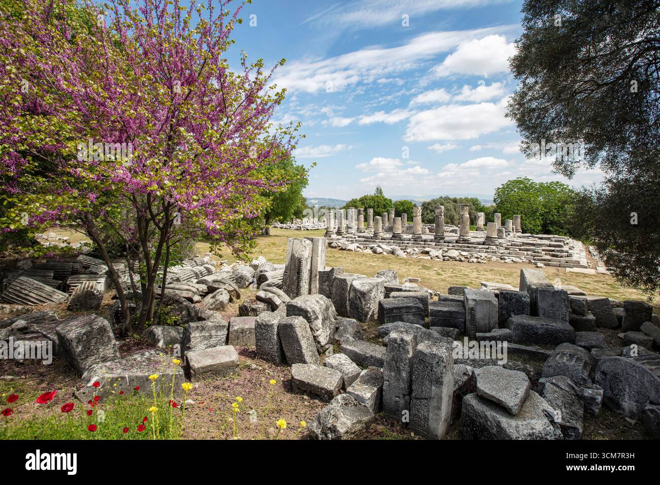 Ruins of the ancient sanctuary Lagina, Turkey Stock Photo - Alamy