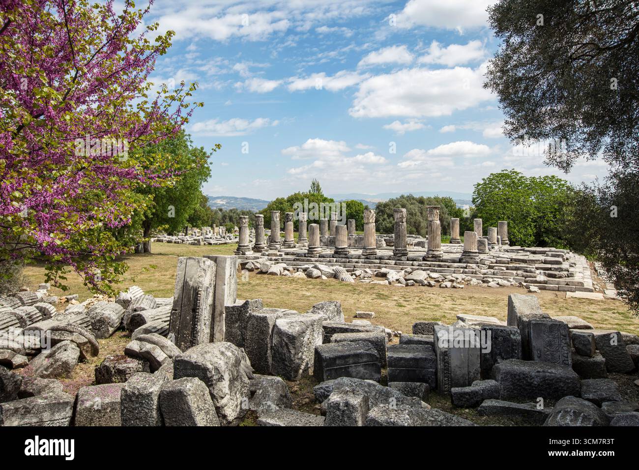 Ruins of the ancient sanctuary Lagina, Turkey Stock Photo - Alamy