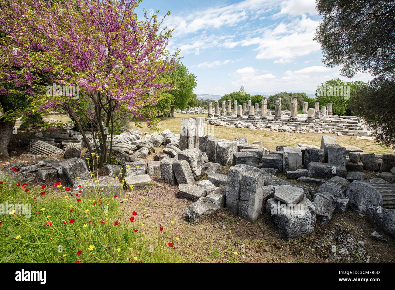 Ruins of the ancient sanctuary Lagina, Turkey Stock Photo - Alamy
